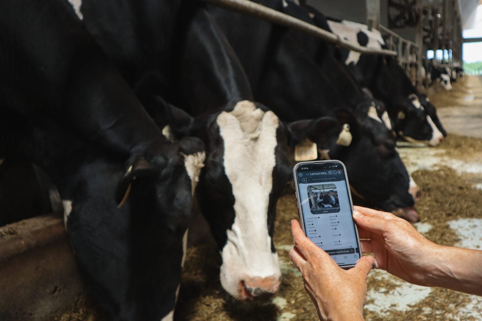 Creation of a Dairy Management, Modelling, and Collaborative Framework ...